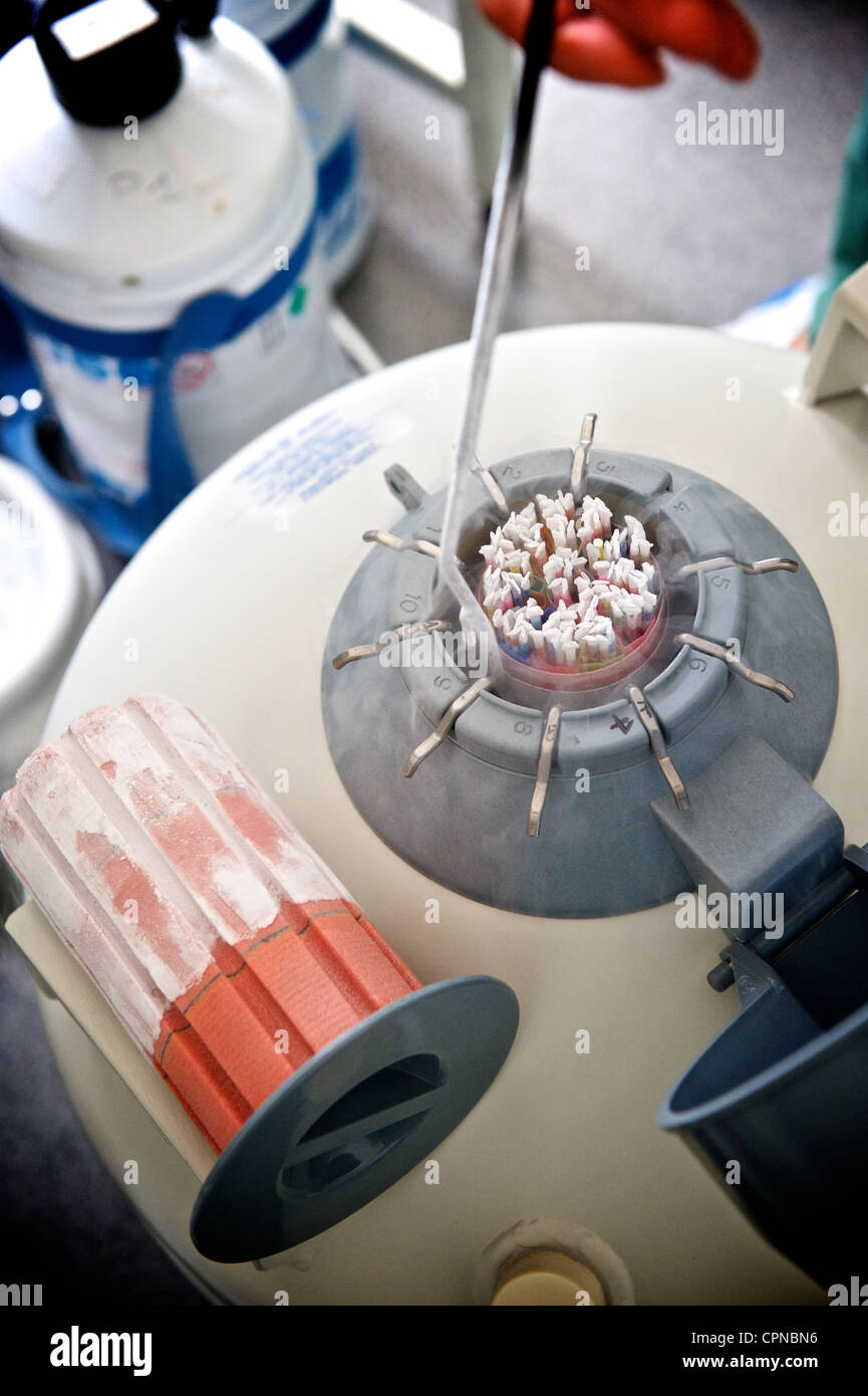 Cryopreservation High Resolution Stock Photography and Images - Alamy