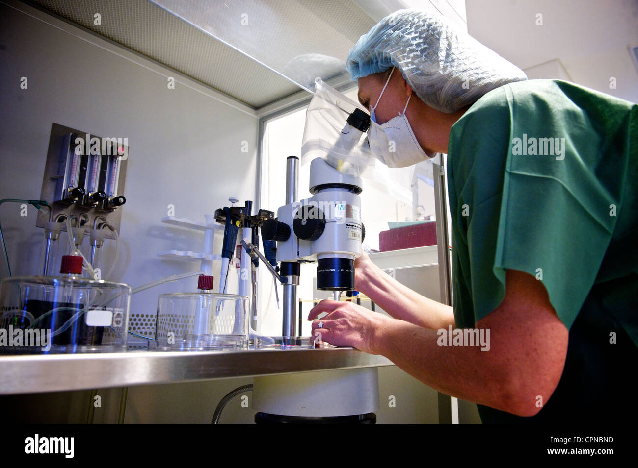 Human ovum light microscope hi-res stock photography and images - Alamy