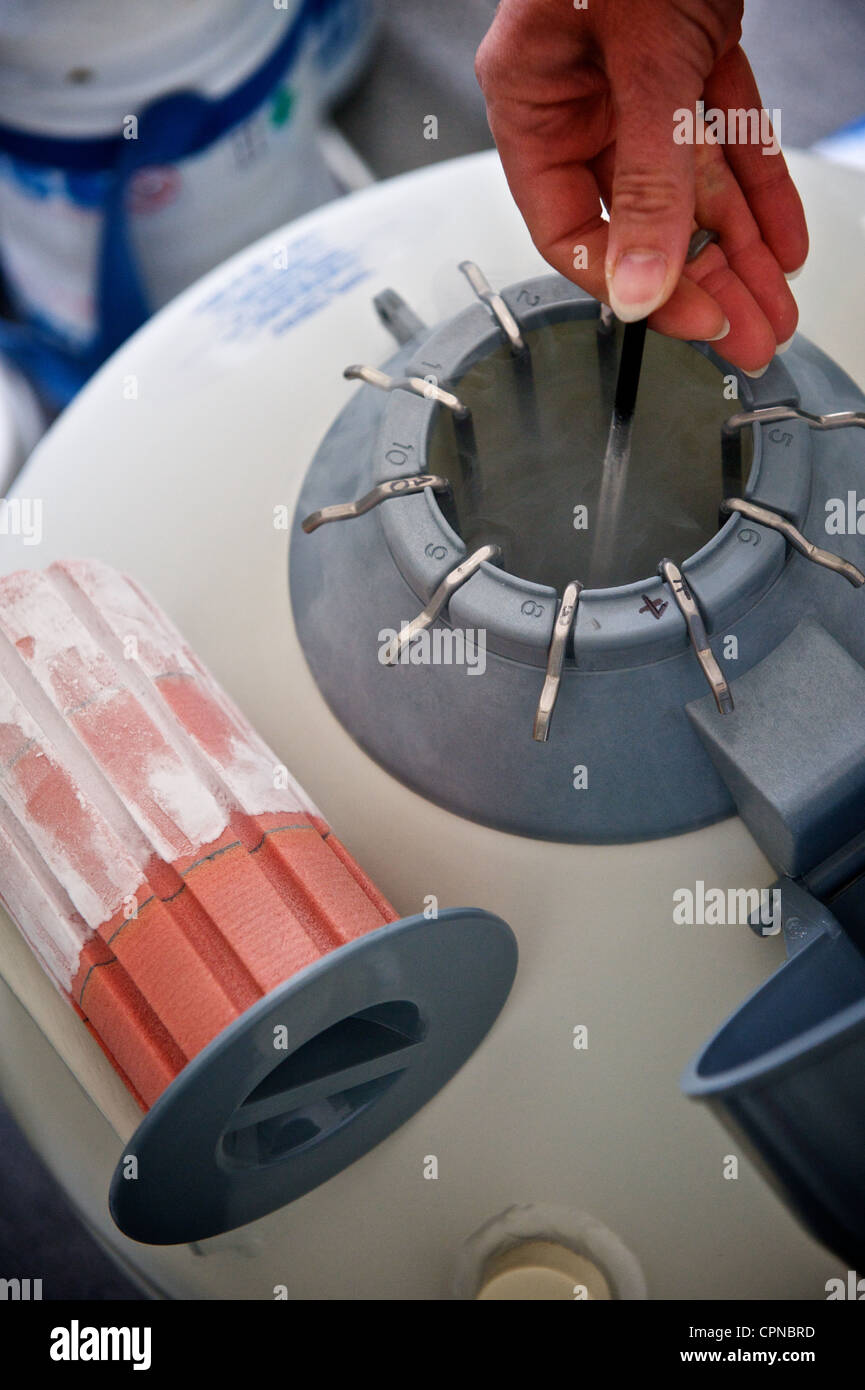 Cryopreservation tank hi-res stock photography and images - Alamy