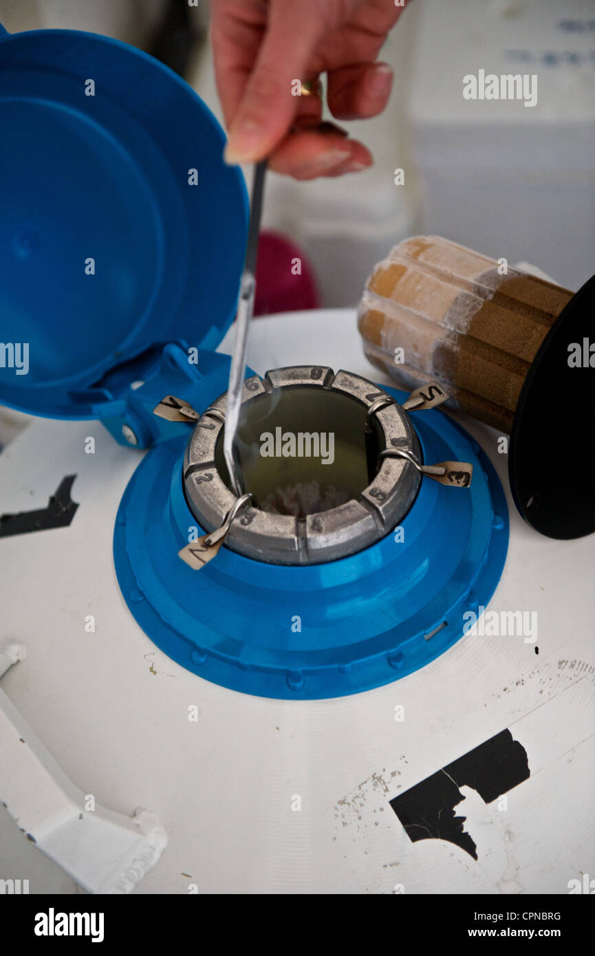 Cryogenic freezing humans hi-res stock photography and images - Alamy