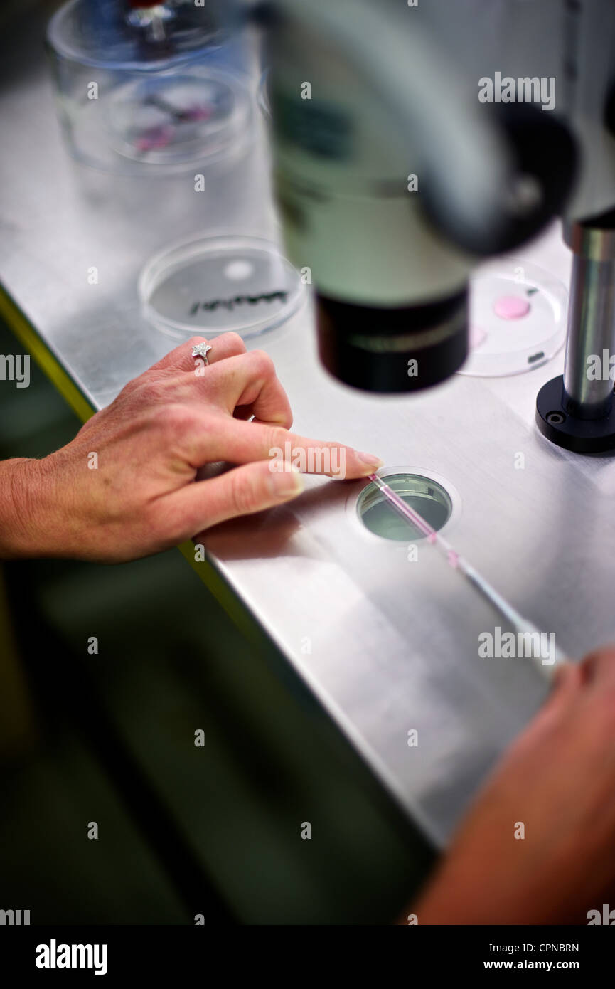 Ivf et hi-res stock photography and images - Alamy