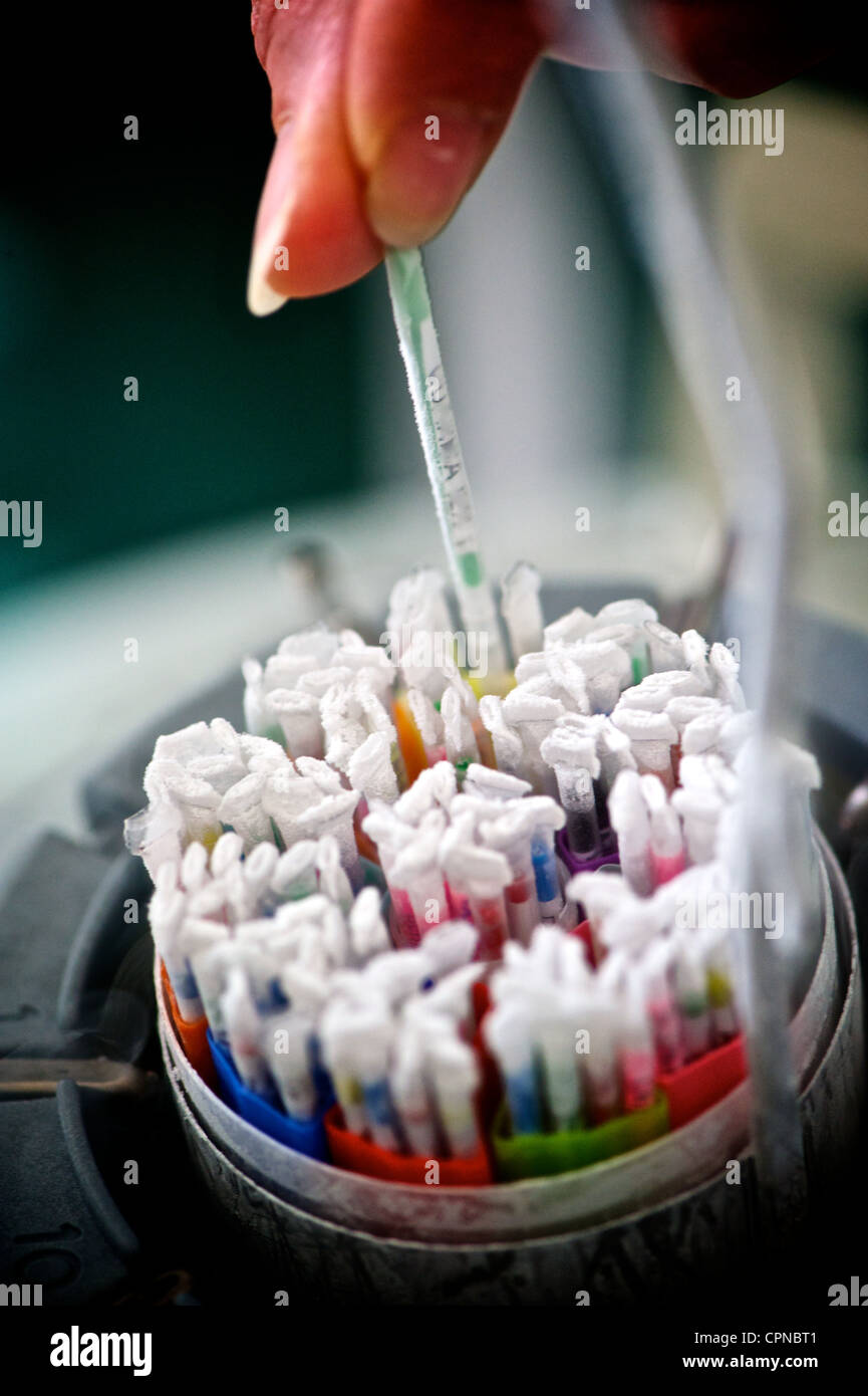 Cryogenic freezing humans hi-res stock photography and images - Alamy