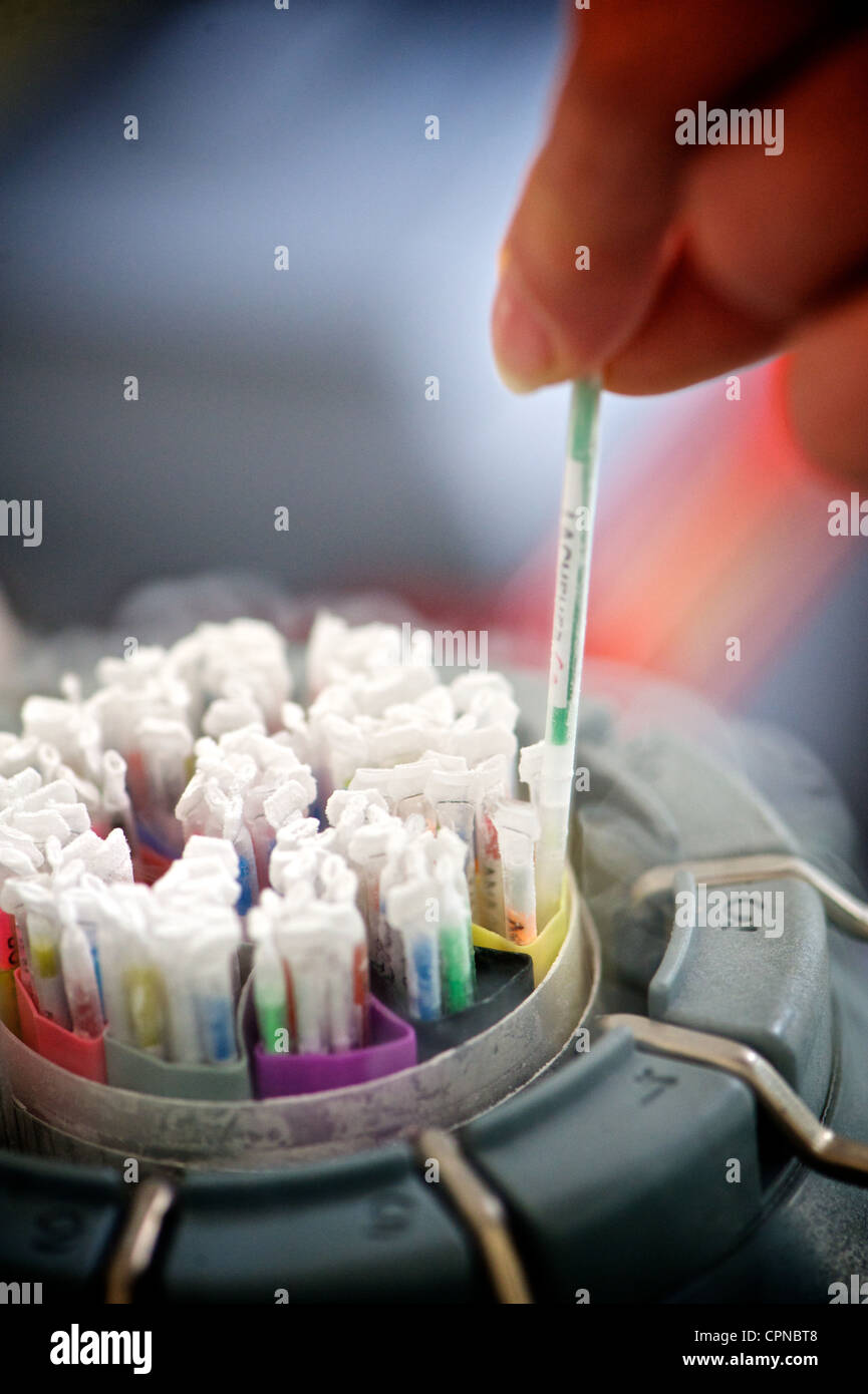 Cryogenic freezing humans hi-res stock photography and images - Alamy