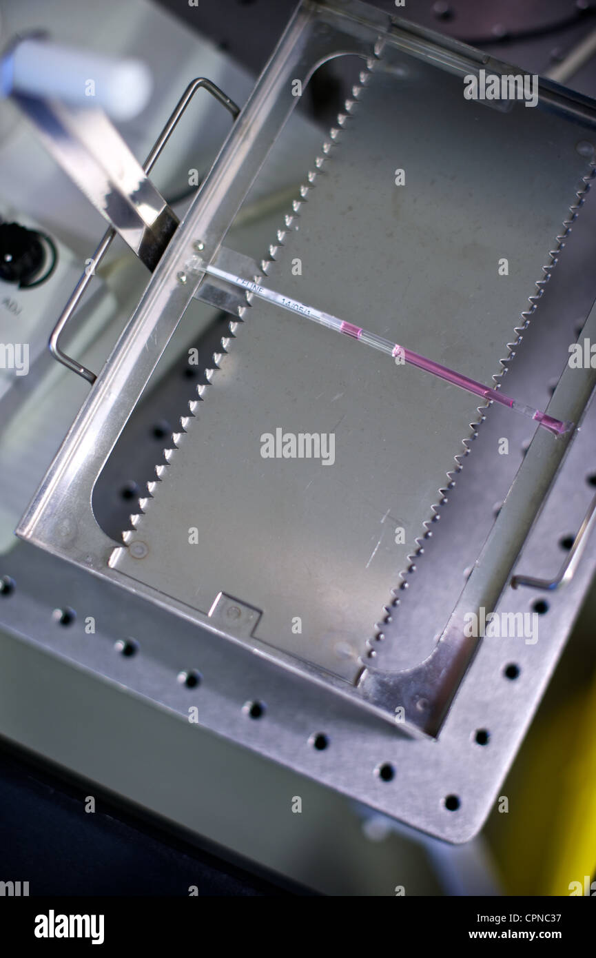Ivf Lab High Resolution Stock Photography and Images - Alamy