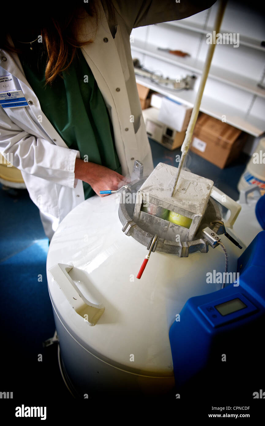 Cryopreservation High Resolution Stock Photography and Images - Alamy