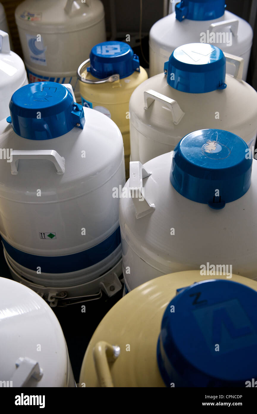 Cryopreservation tank hi-res stock photography and images - Alamy