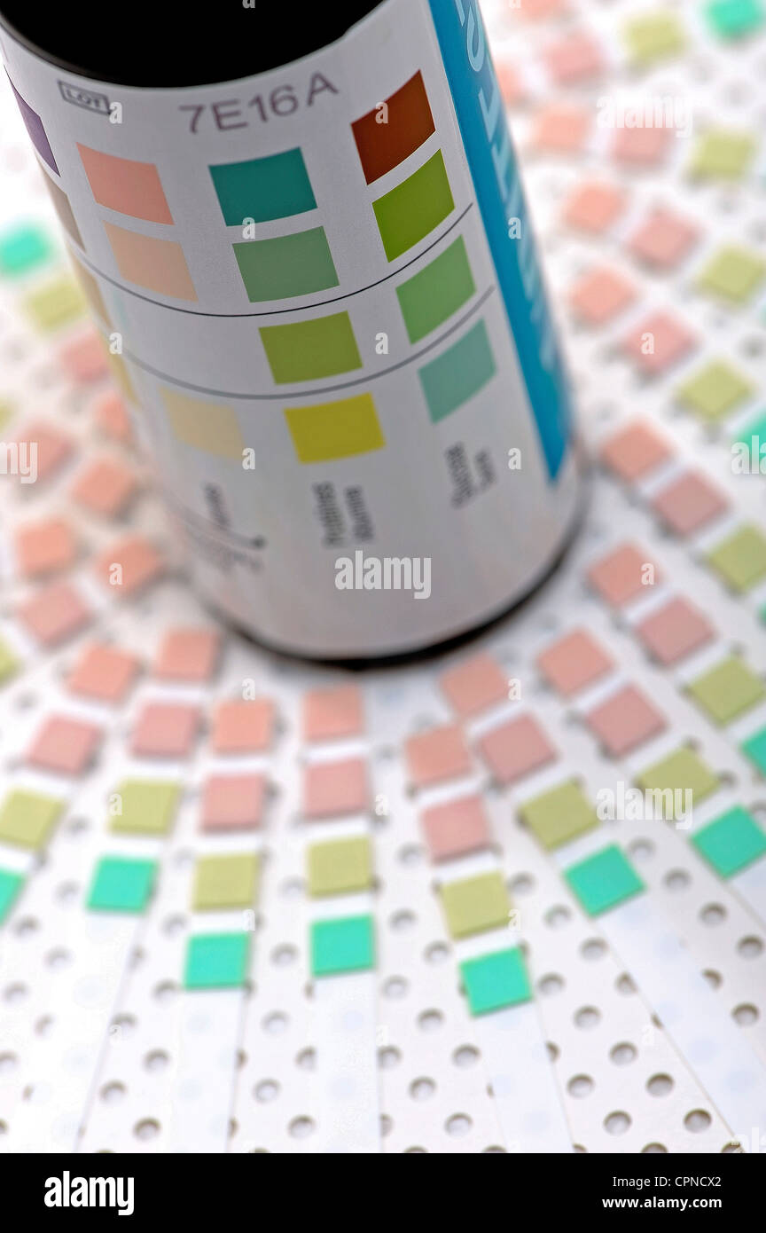 URINE TEST STRIP Stock Photo - Alamy