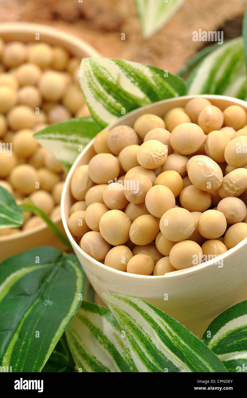 Glycine soya hi-res stock photography and images - Alamy