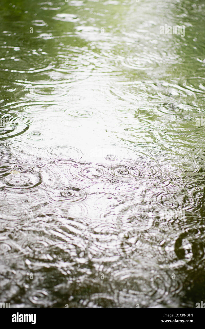 Raindrops on surface of water Stock Photo - Alamy