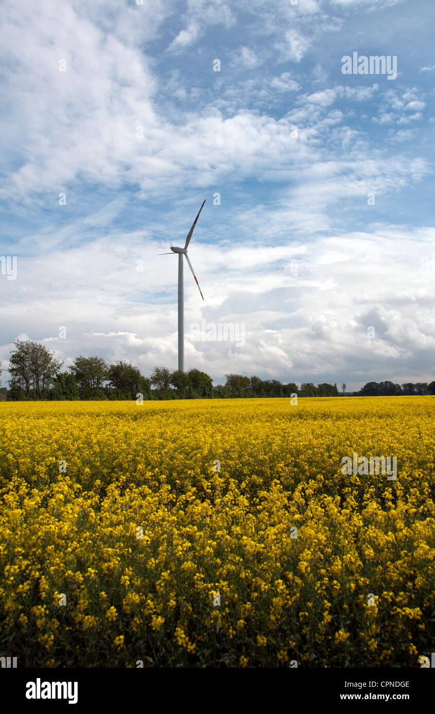Yellow windmill hi-res stock photography and images - Alamy