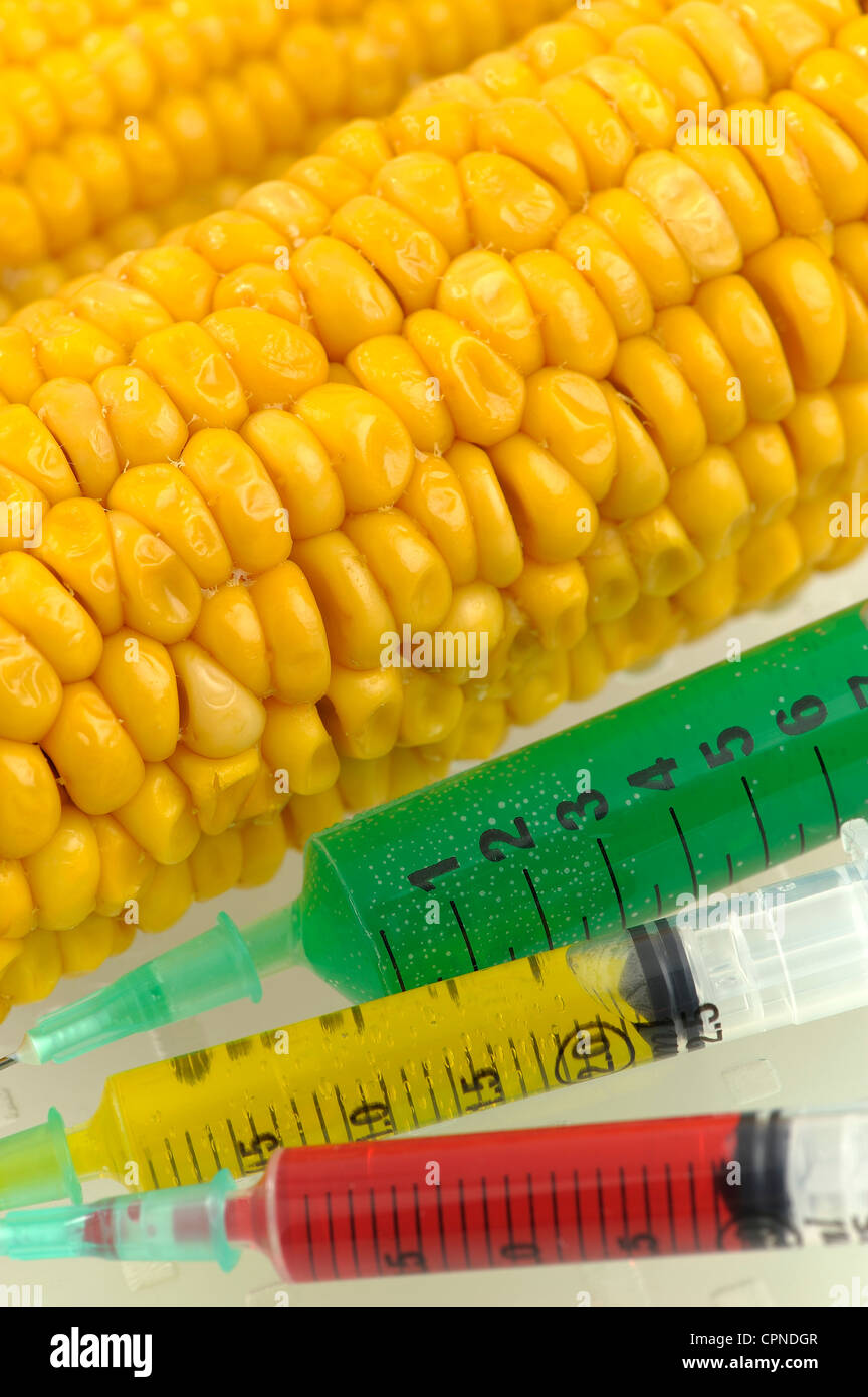Biotechnology Gmo High Resolution Stock Photography and Images - Alamy