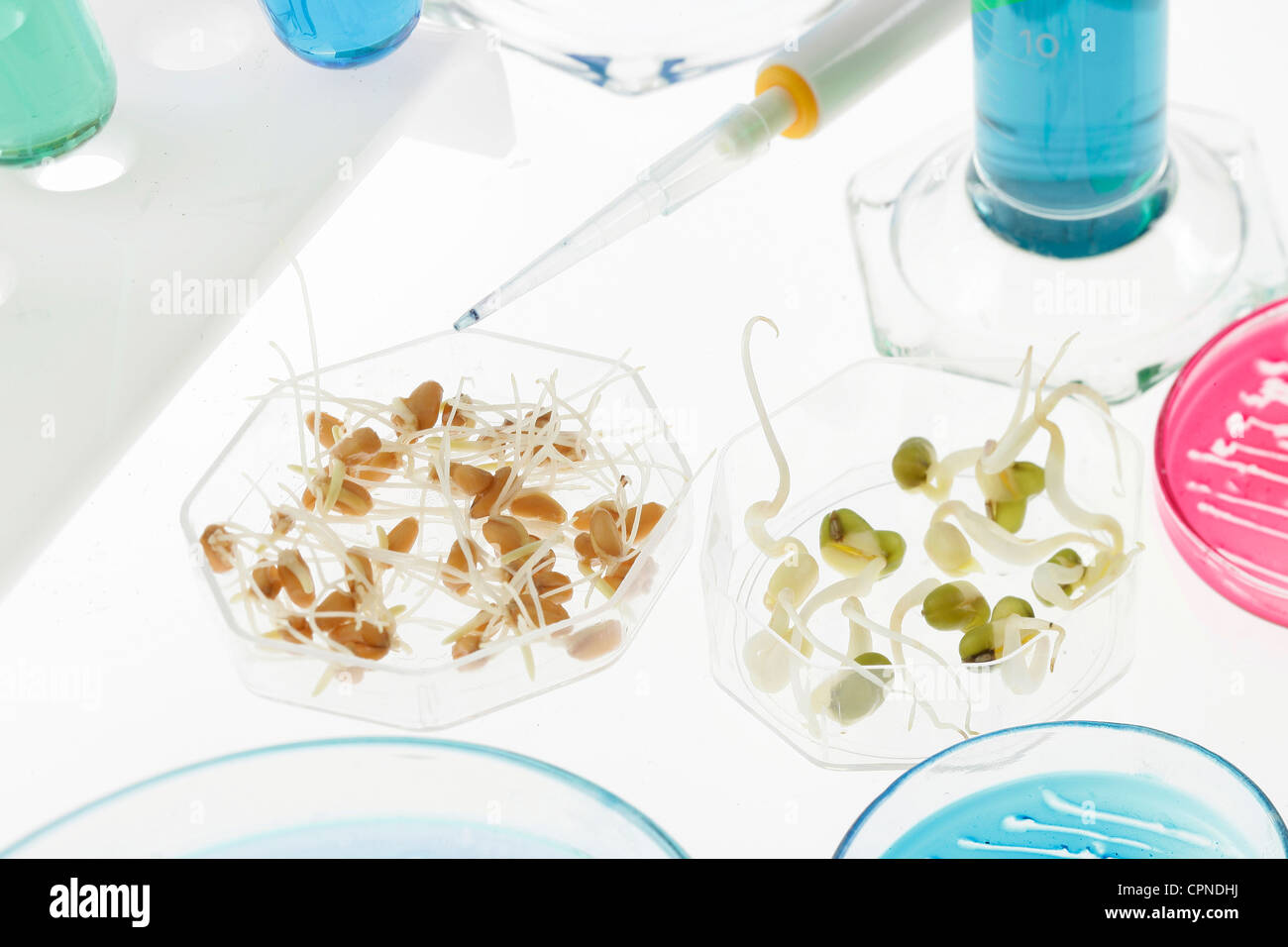 Bacterial analysis hi-res stock photography and images - Alamy