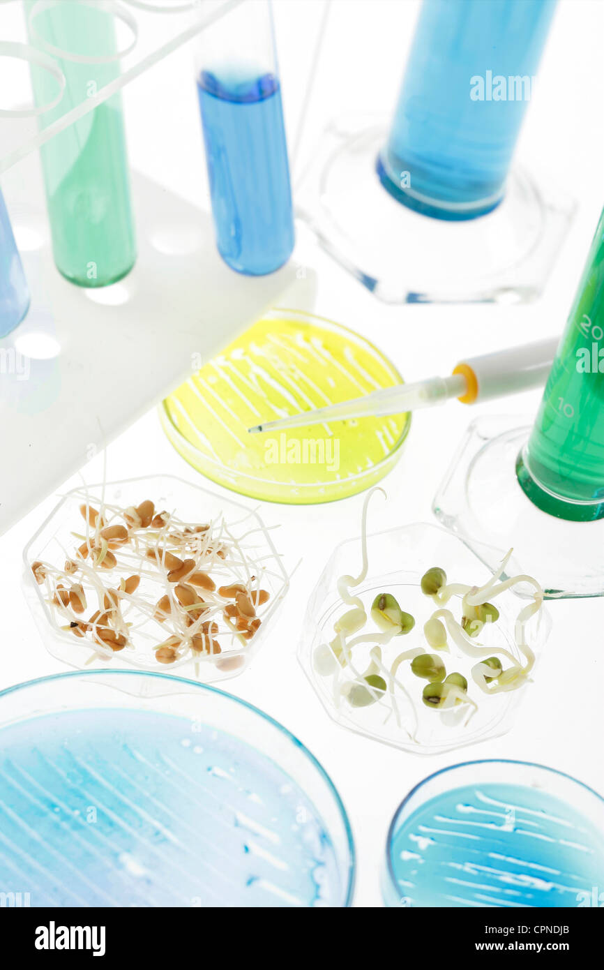 Laboratory Specimen High Resolution Stock Photography and Images - Alamy