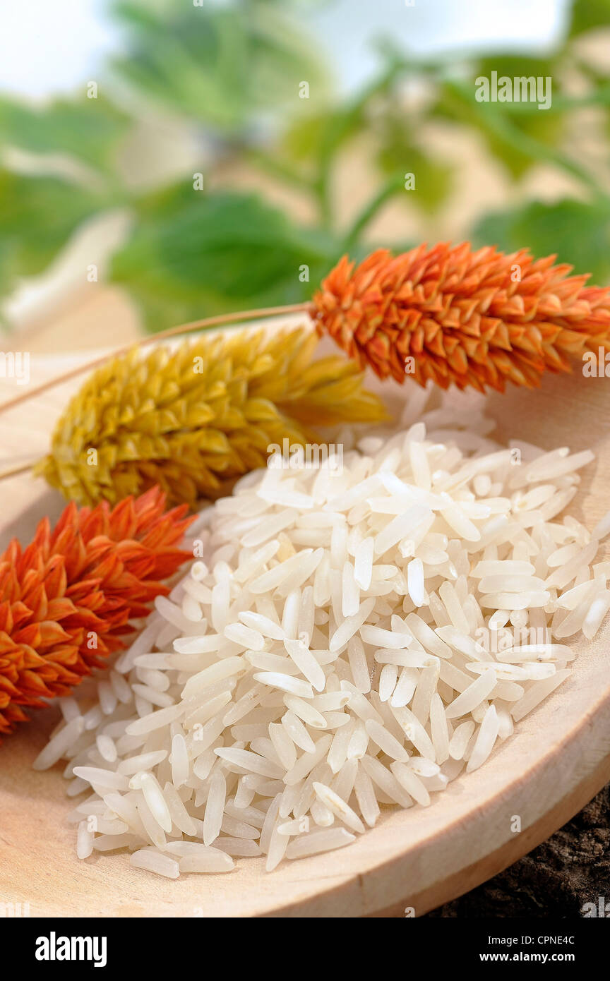 Rice details hi-res stock photography and images - Alamy