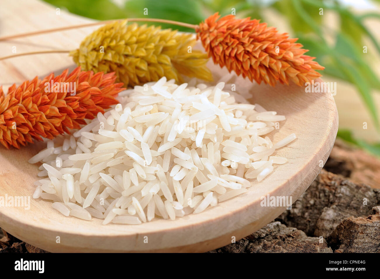 Starchy grains hi-res stock photography and images - Alamy
