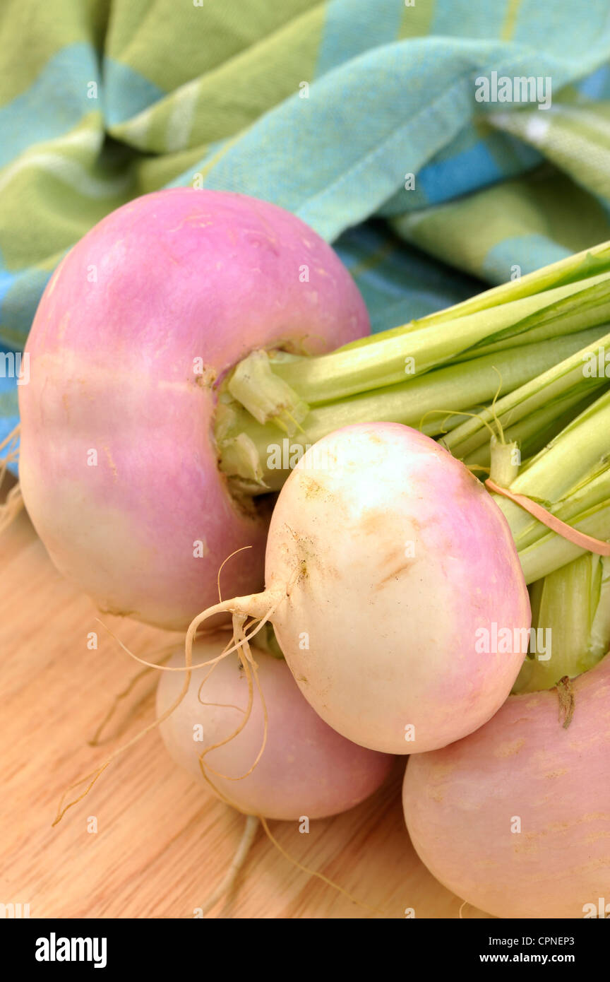 Feeding turnips hi-res stock photography and images - Alamy