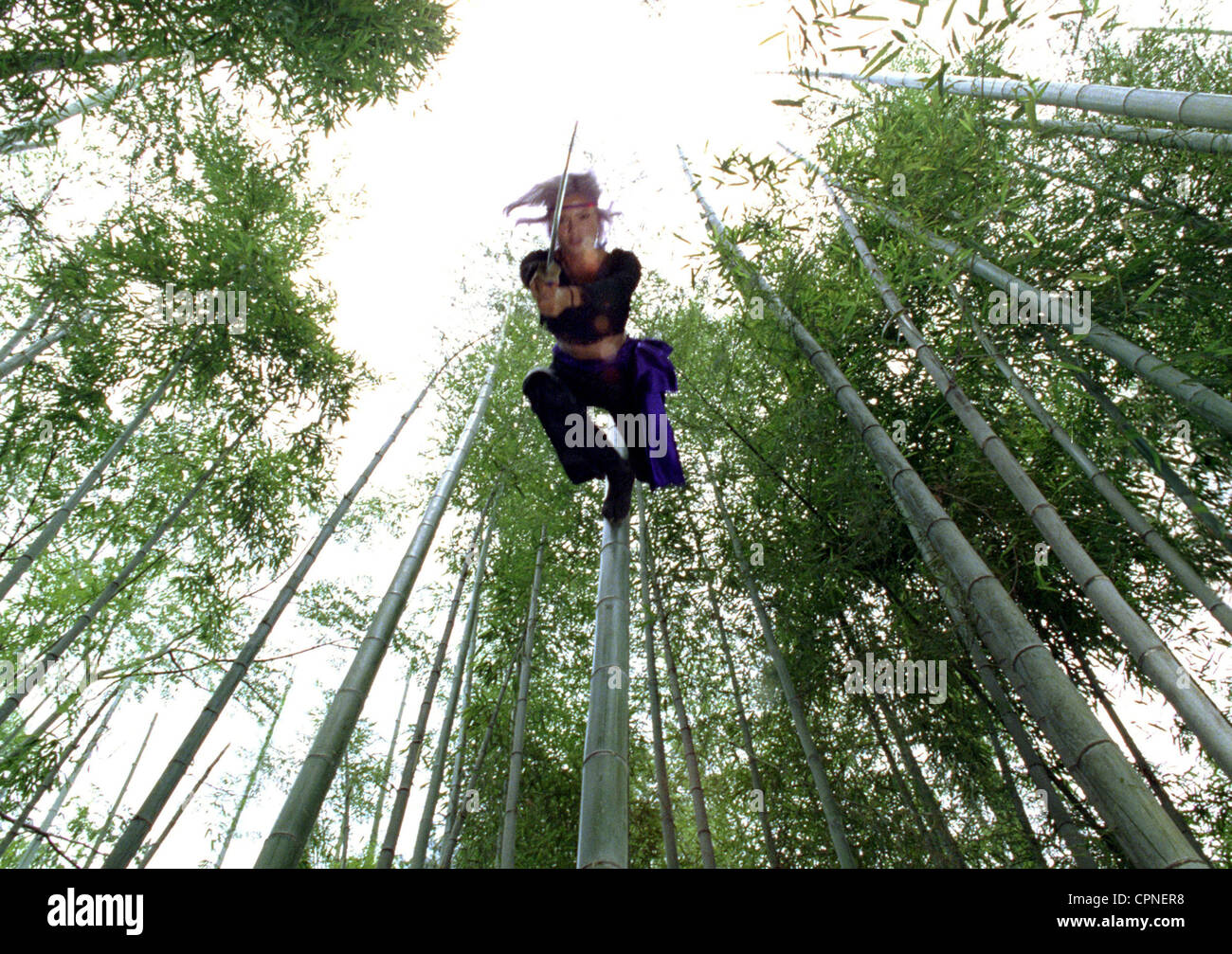 Doa dead alive hi-res stock photography and images - Alamy