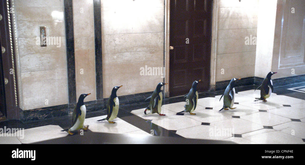 Mr. Popper's Penguins Stock Photo - Alamy