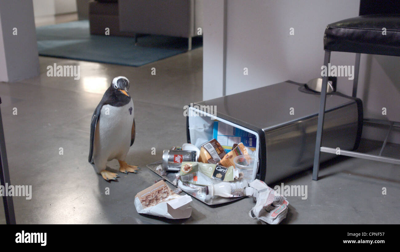 Mr. Popper's Penguins Stock Photo - Alamy