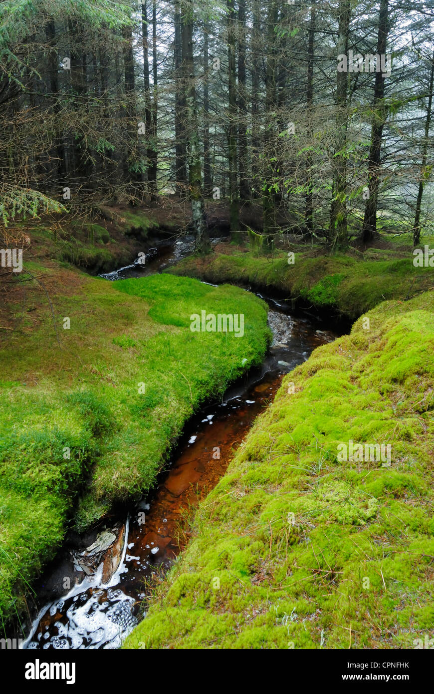 Stream, coloured by the peat from the surrounding moorland, running ...