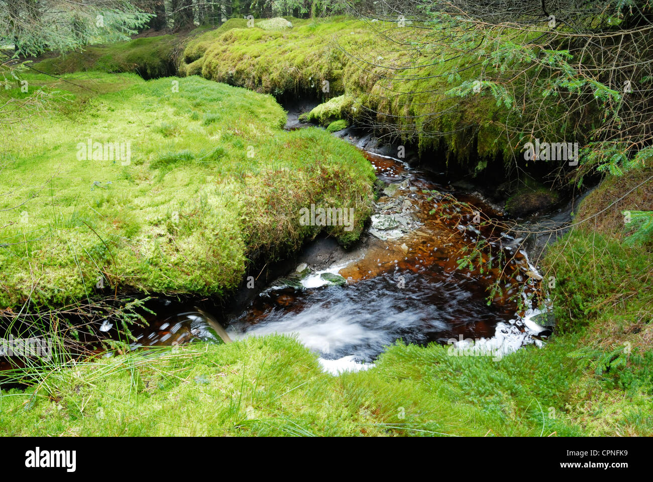 Stream, coloured by the peat from the surrounding moorland, running ...
