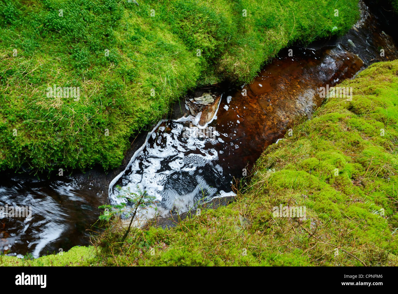 Stream, coloured by the peat from the surrounding moorland, running ...