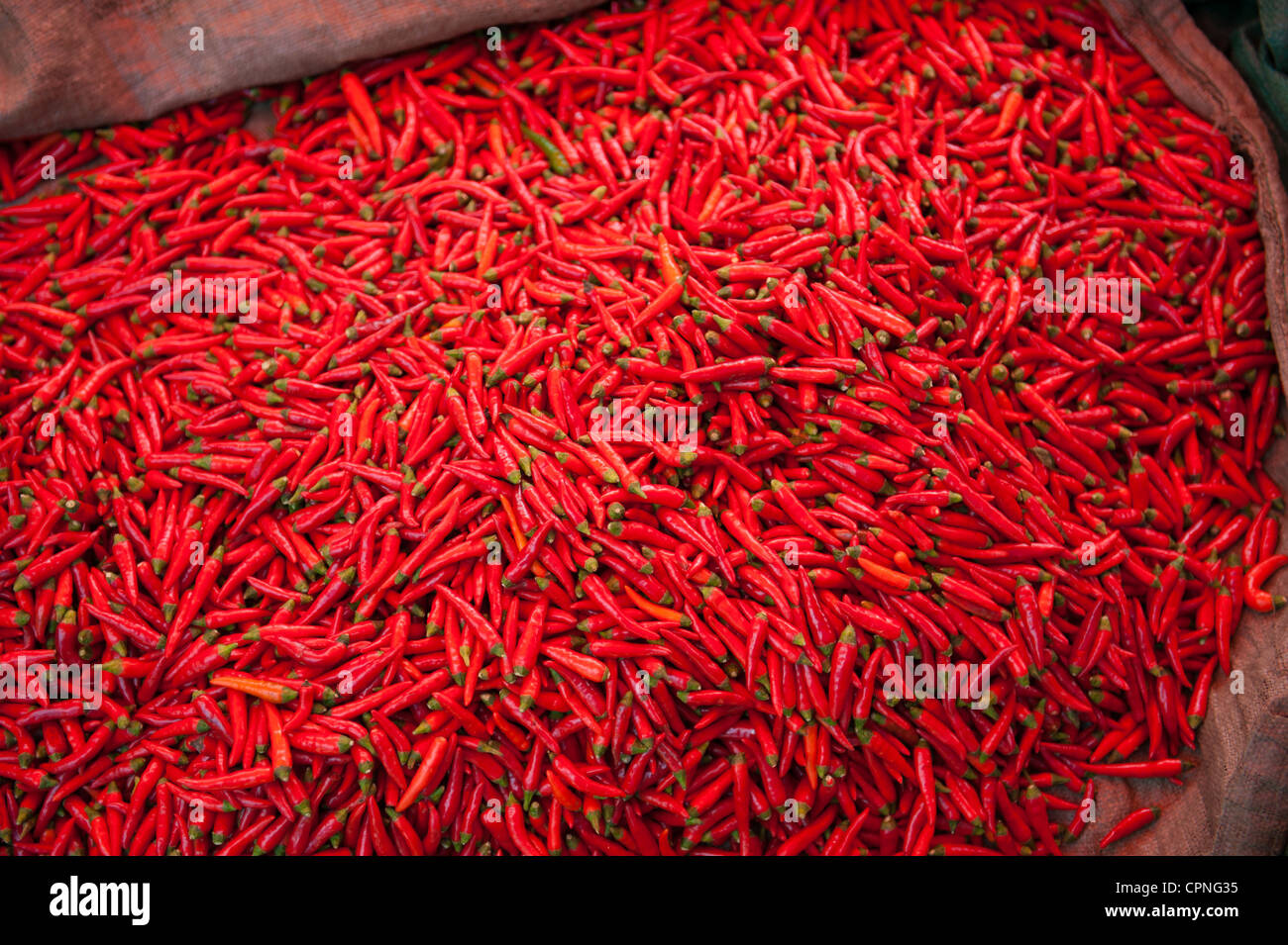 Red bac hi-res stock photography and images - Alamy