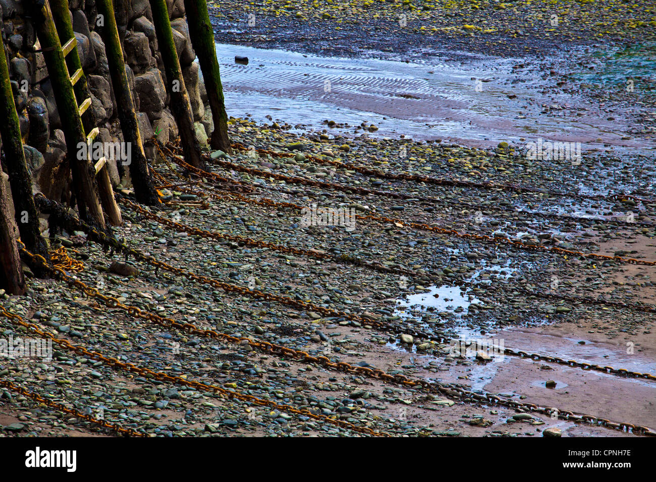 Mooring Chains Stretched Out from Harbour Wall at Clovelly During Low ...