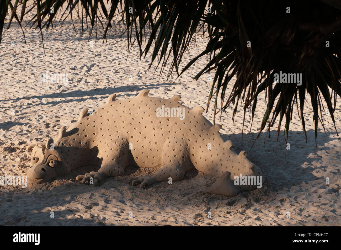 Dinosaur beach hi-res stock photography and images - Alamy