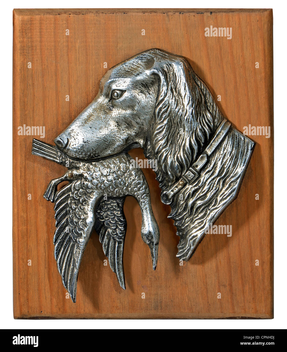 Hunting dog historical Cut Out Stock Images & Pictures - Alamy