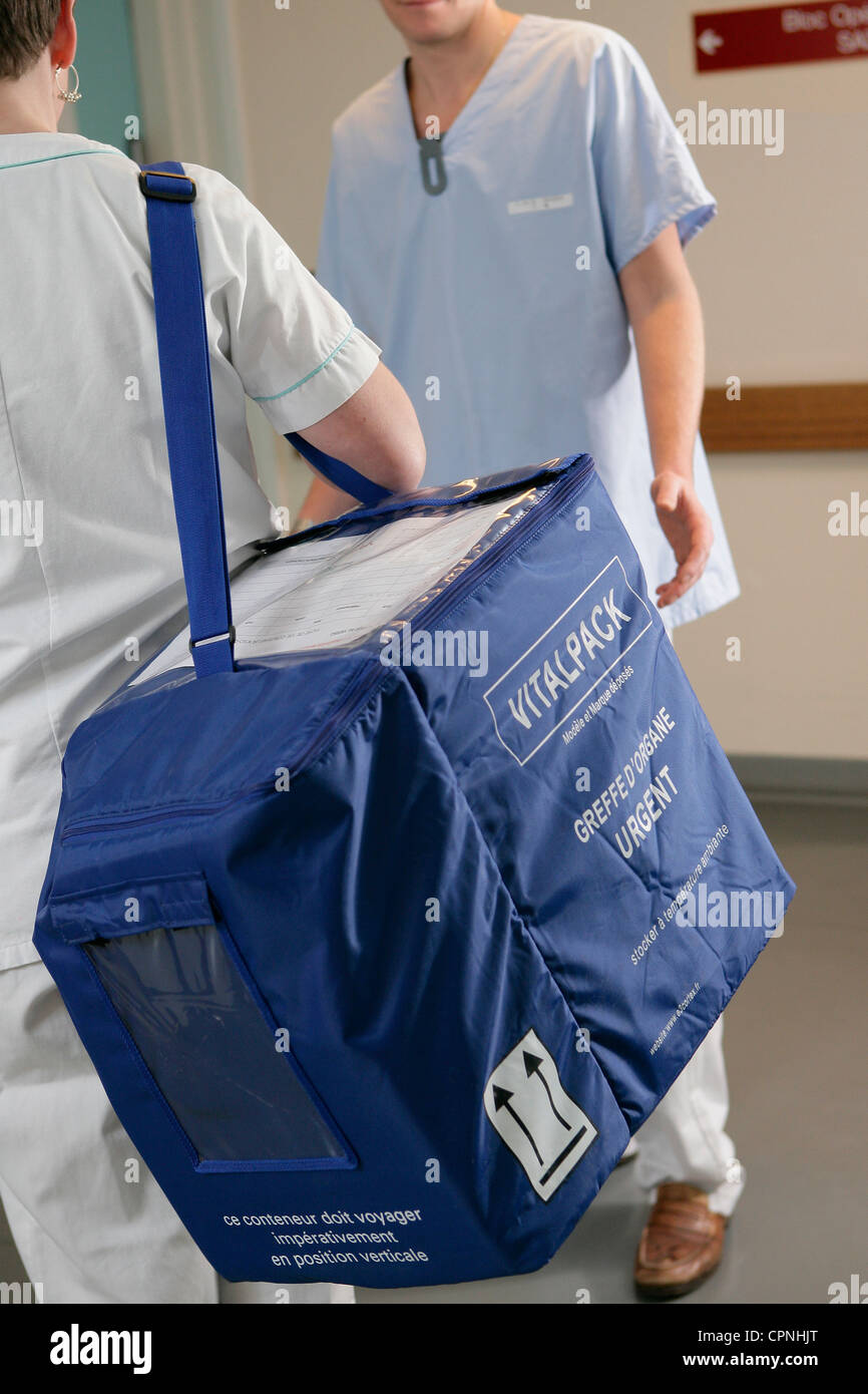 Organ transplant carrier hi-res stock photography and images - Alamy