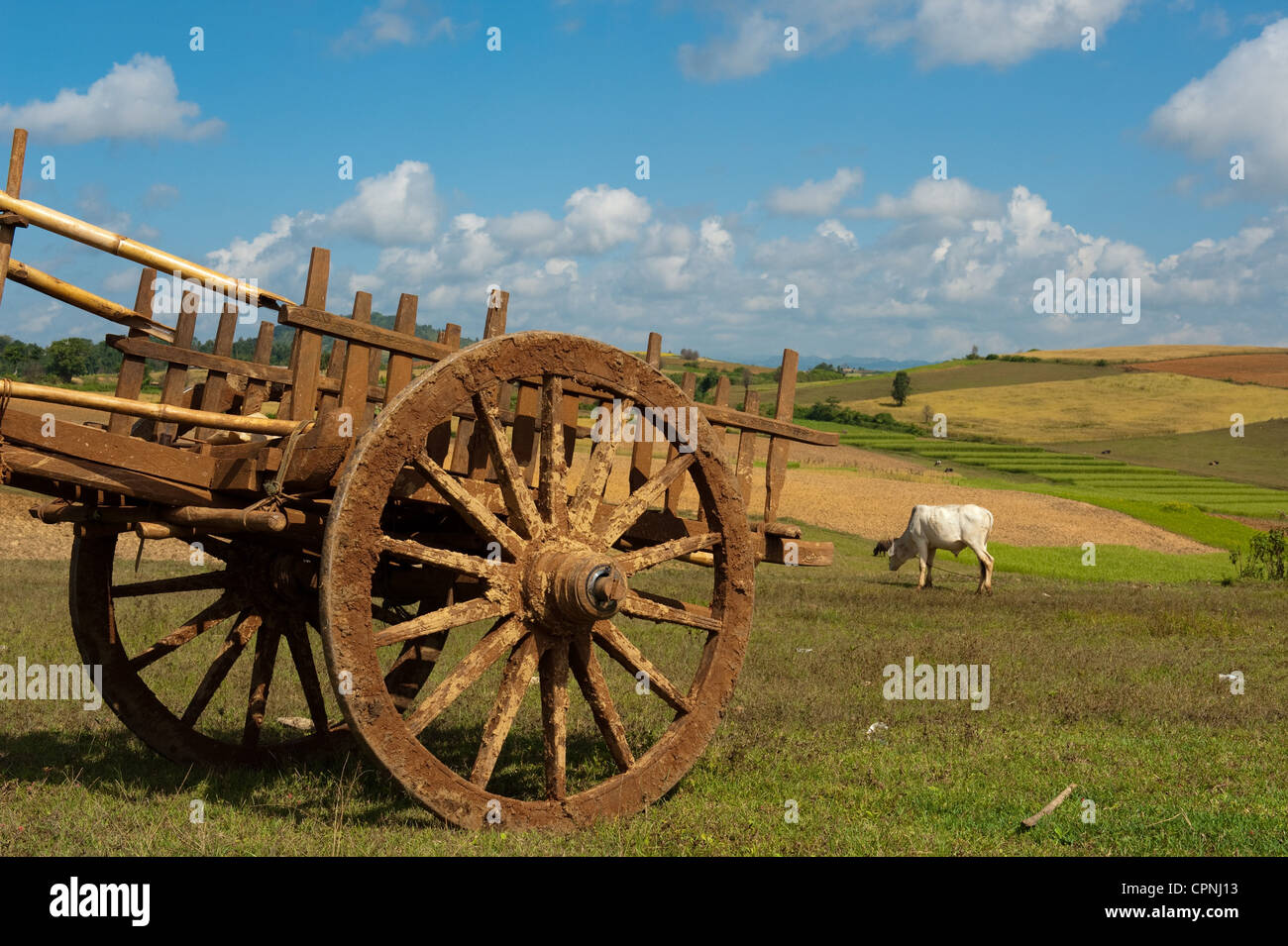 Farming in Myanmar Stock Photo - Alamy