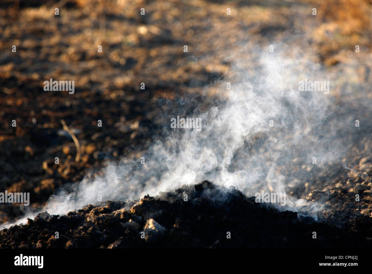 Fire drill fire hi-res stock photography and images - Alamy