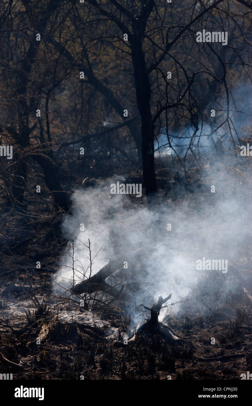Fire steaming hi-res stock photography and images - Alamy