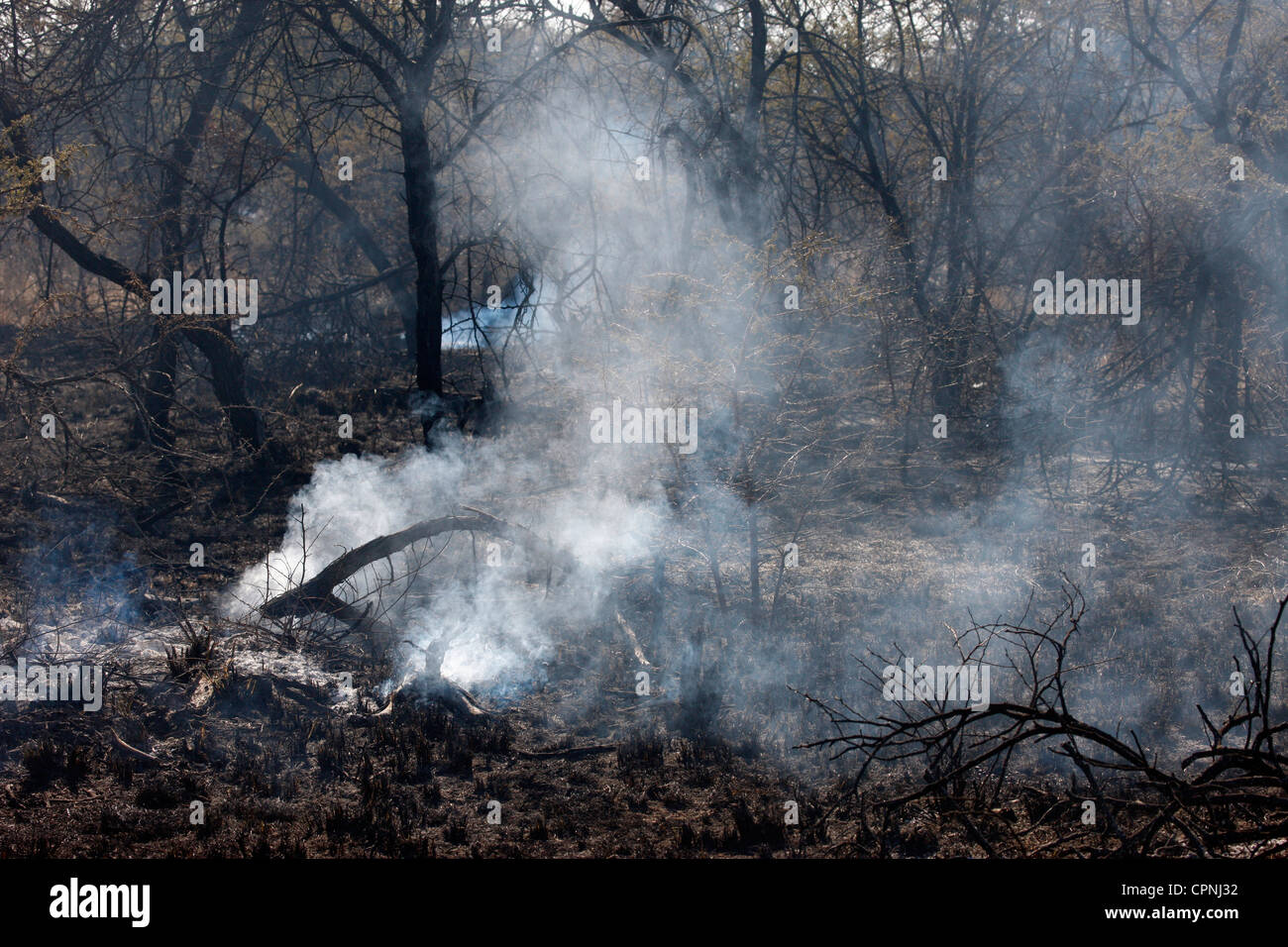 Fire pollution south africa hi-res stock photography and images - Alamy