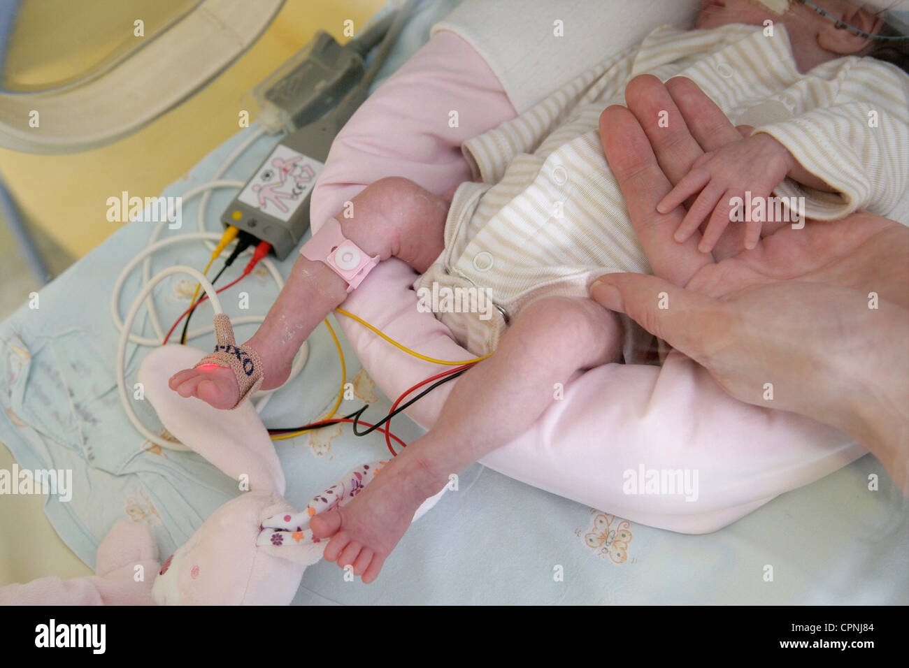PREMATURE BABY, CARE Stock Photo - Alamy