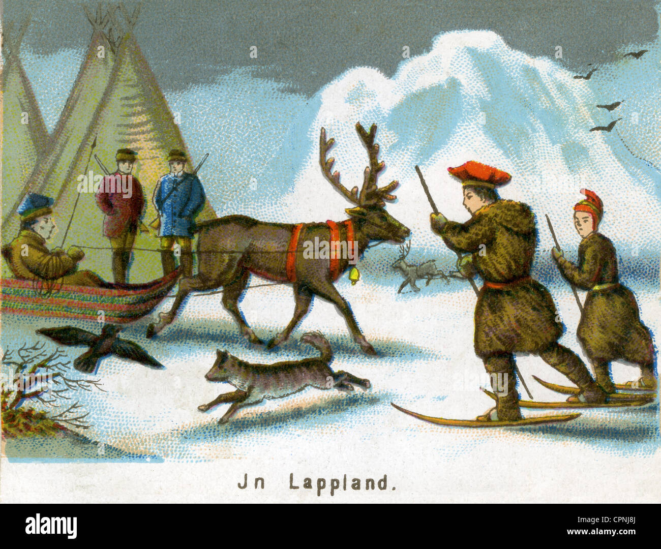 Sami people with reindeer sleigh hi-res stock photography and images ...