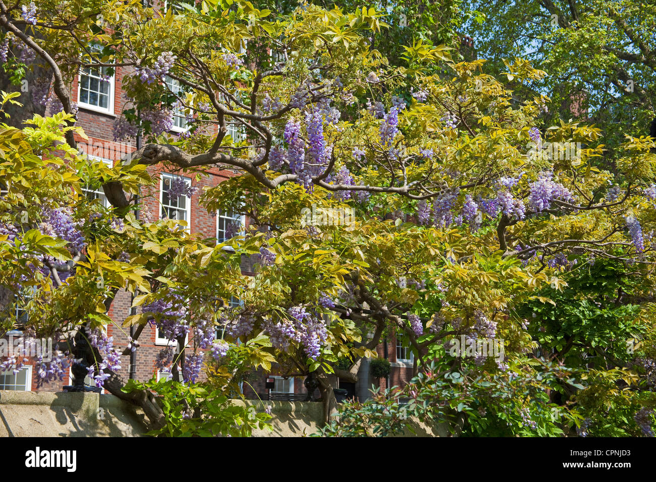 Middle temple garden london hi-res stock photography and images - Alamy