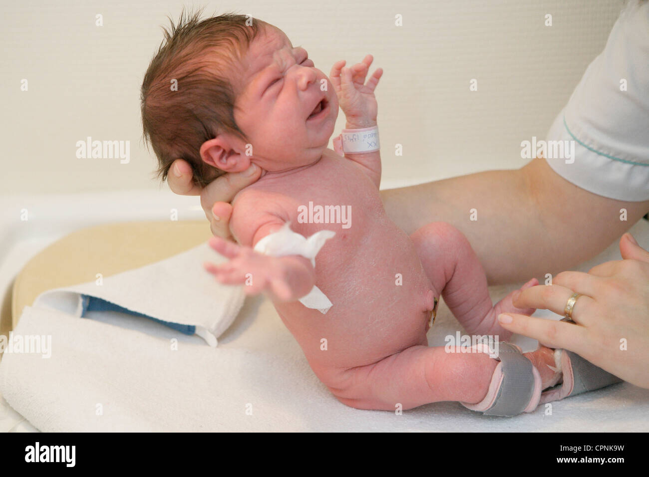 Kangaroo care and baby hi-res stock photography and images - Alamy