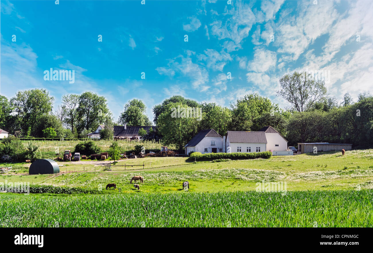 Farm house in Denmark, with horses and machines Stock Photo - Alamy