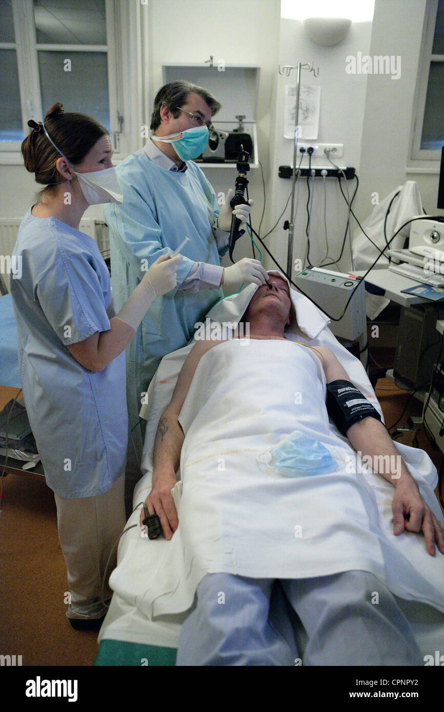 Human Lungs And Bronchial Tree High Resolution Stock Photography and ...