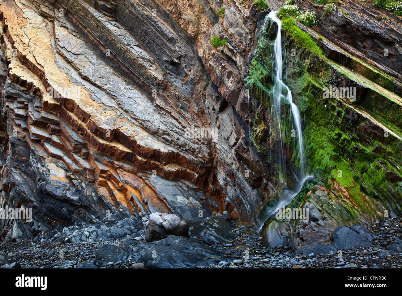 Sandy mouth hi-res stock photography and images - Alamy