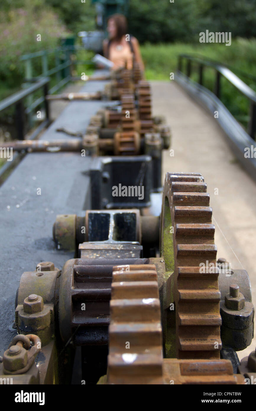 Looking across the cogs at Walsham Lock Stock Photo - Alamy