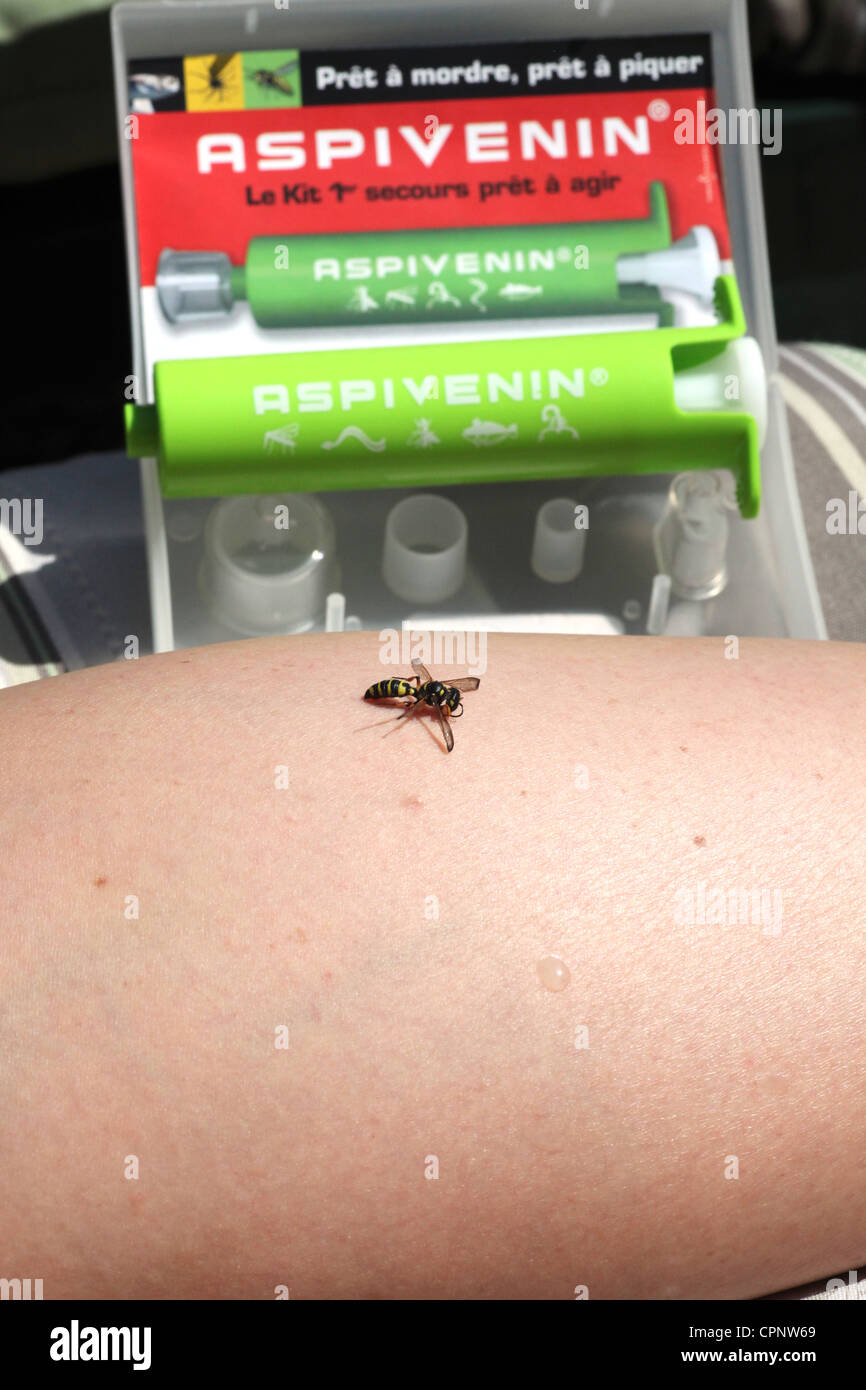 Poisonous skins hi-res stock photography and images - Alamy