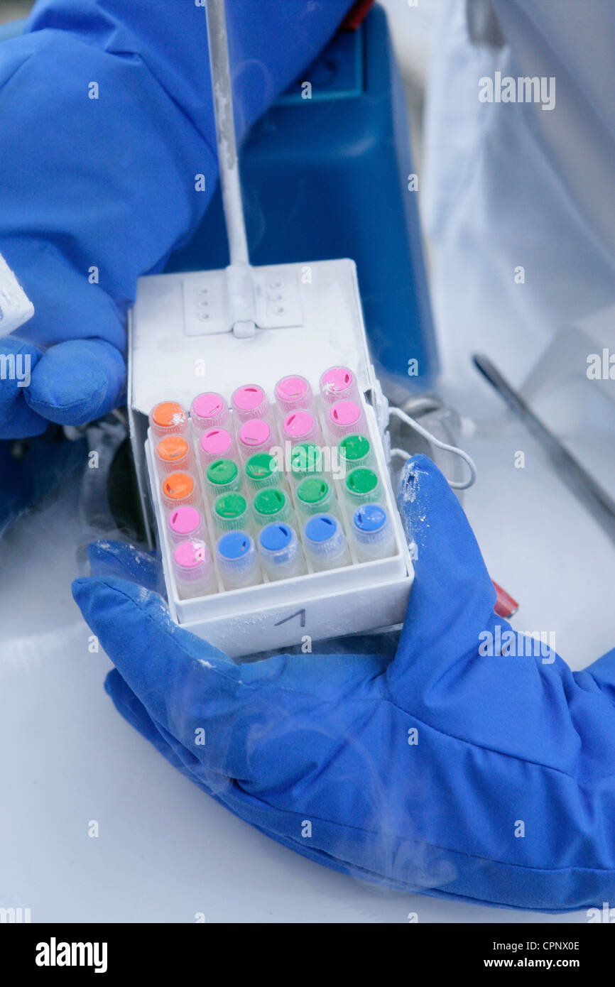 Cryogenic freezing humans hi-res stock photography and images - Alamy