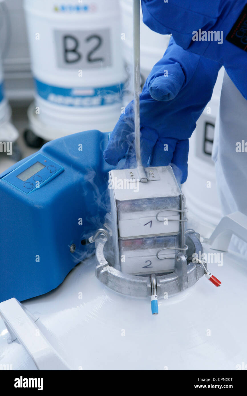 Cryogenics With Liquid Nitrogen High Resolution Stock Photography and ...