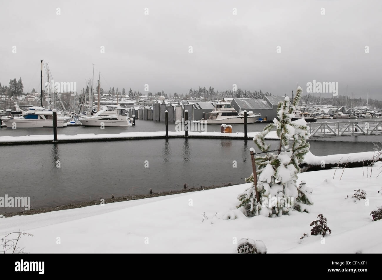 A winter snowstorm covers Percival Landing and Budd Bay in downtown ...