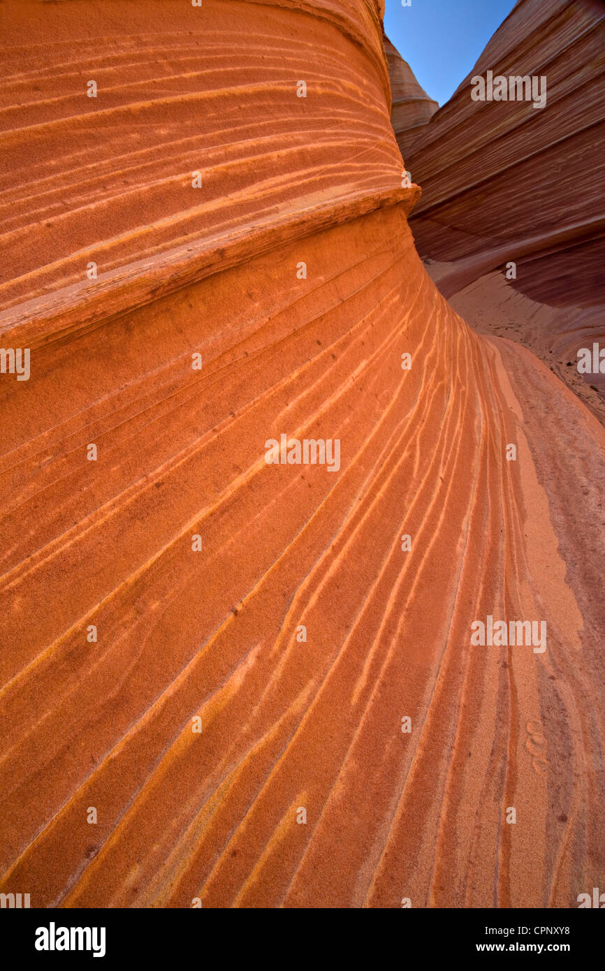Striated sandstone of the Wave in Coyote Buttes, Arizona, USA Stock ...