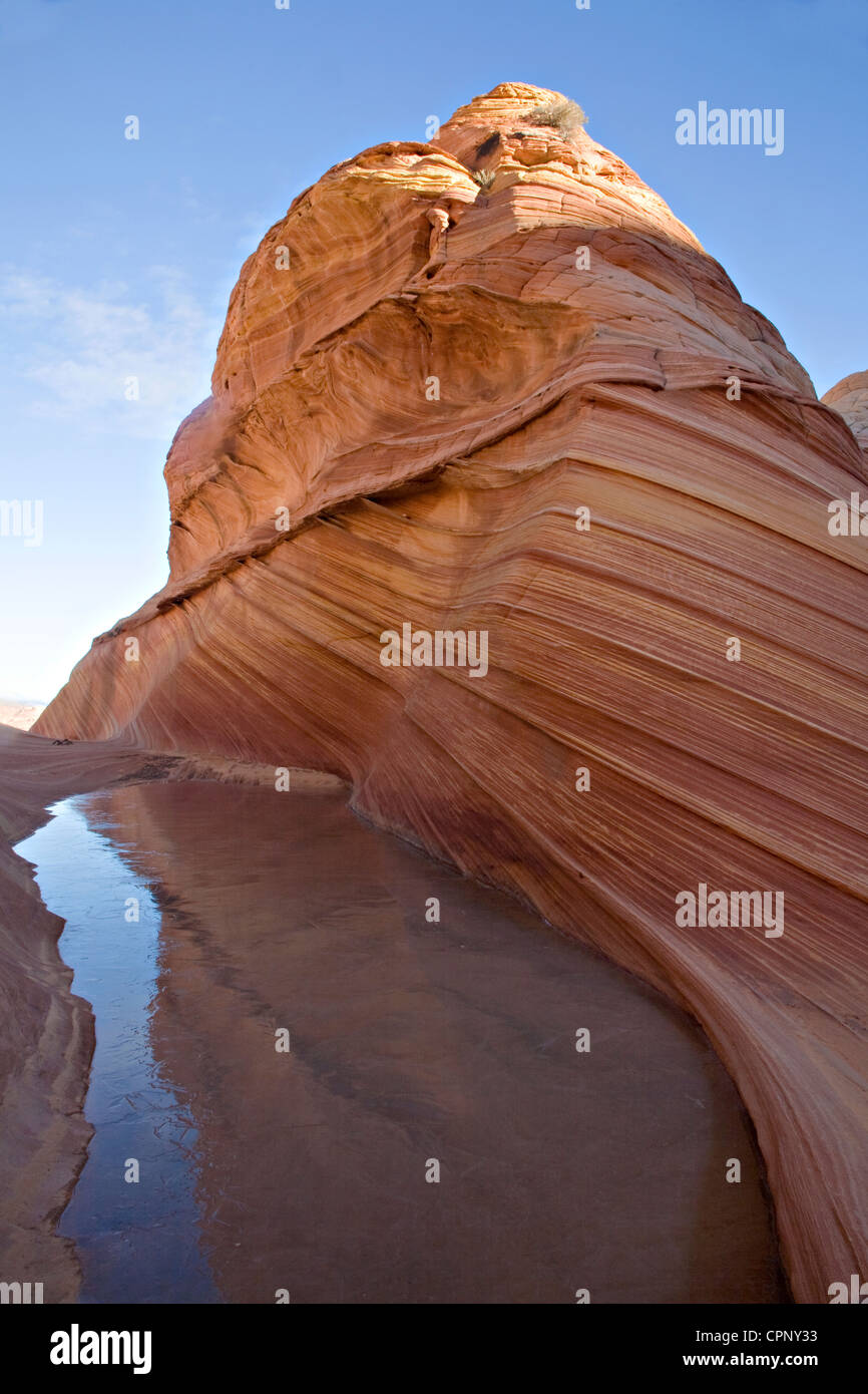 Striated border hi-res stock photography and images - Alamy
