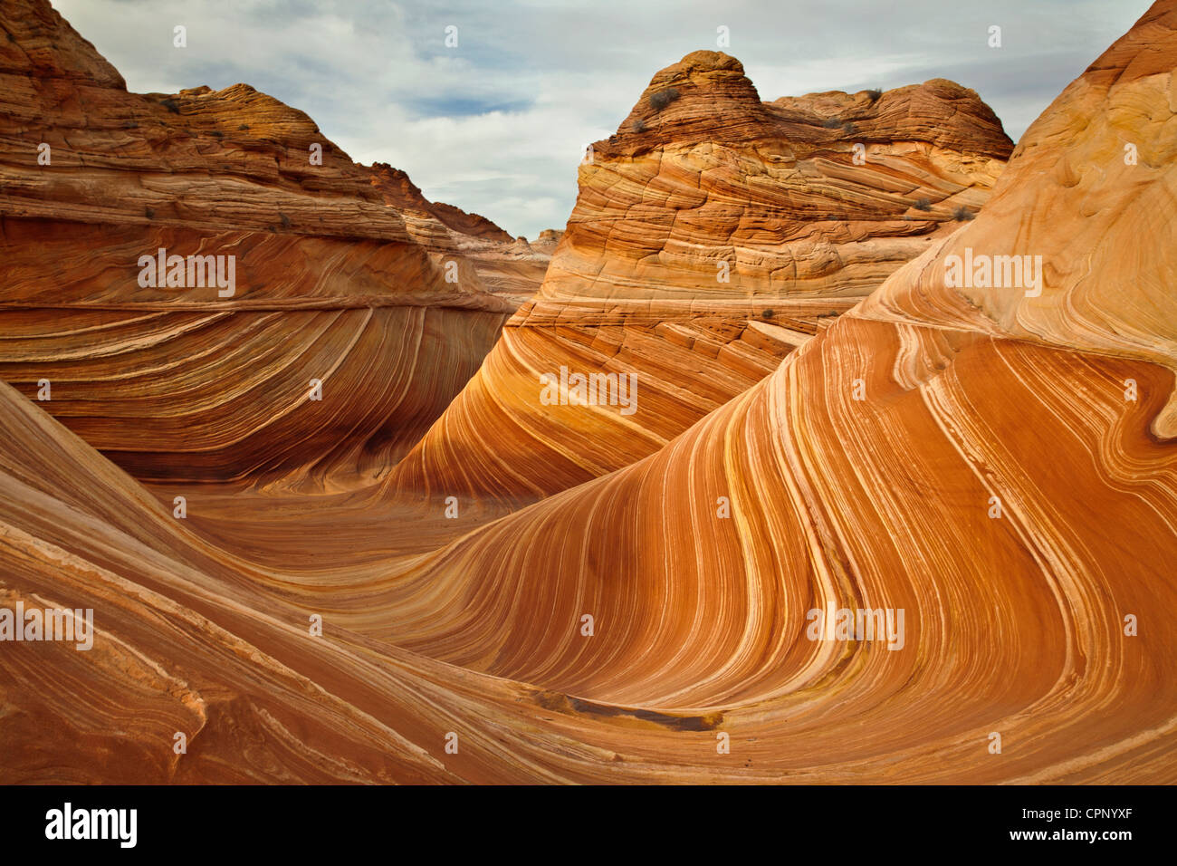 The Wave rock formation in North Coyote Buttes, Arizona Stock Photo - Alamy